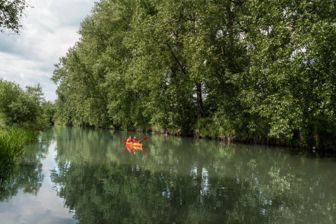 Saale-Unstrut Travel Guide: 9 Best Things To Do & See in the German ...