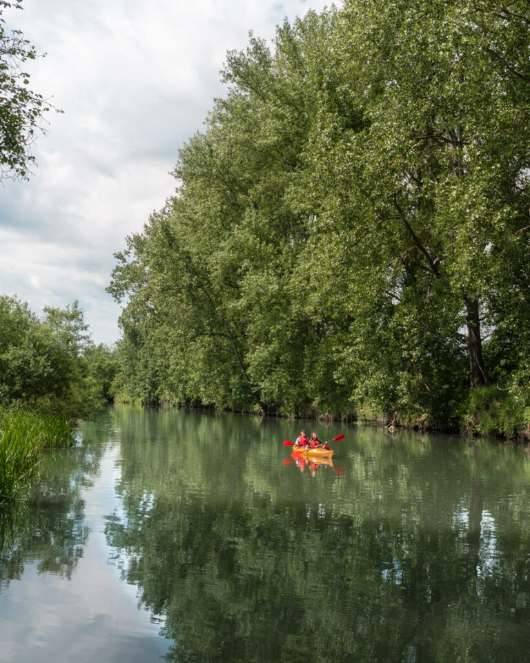 Saale-Unstrut Travel Guide: 9 Best Things To Do & See in the German ...