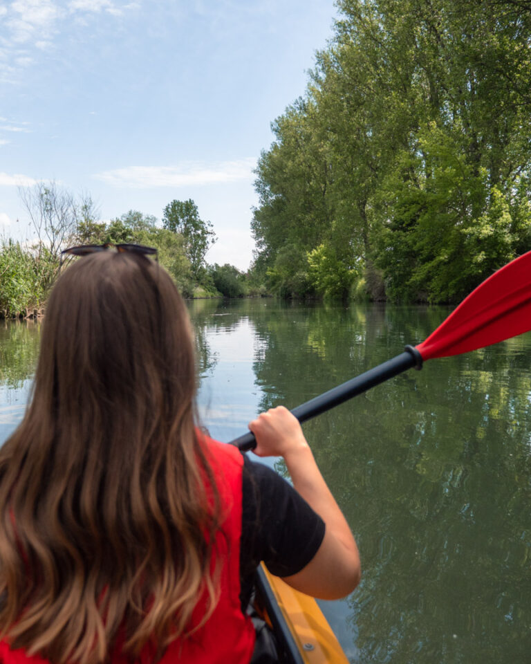 Saale-Unstrut Travel Guide: 9 Best Things To Do & See in the German ...