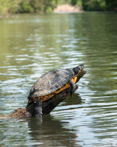 Saale-Unstrut Travel Guide: 9 Best Things To Do & See in the German ...