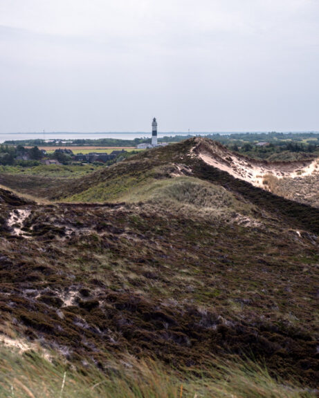 Sylt Travel Guide: 12 Best Things To Do & See on Germany’s Most Famous ...