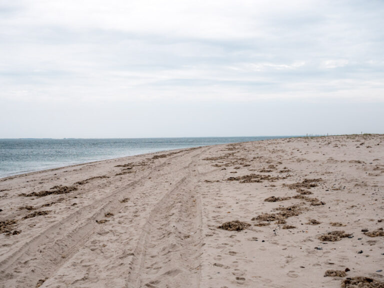 Sylt Travel Guide: 12 Best Things To Do & See on Germany’s Most Famous ...