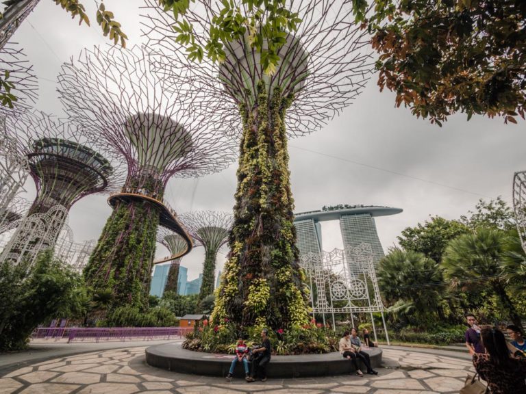 Gardens by the Bay: Luminous Supertrees From the Future - Northabroad