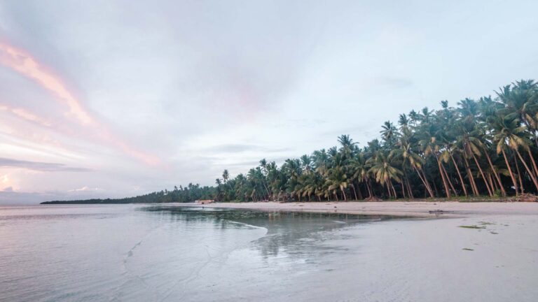 An Extensive Travel Guide to Siquijor: 11 Best Beaches, Waterfalls ...