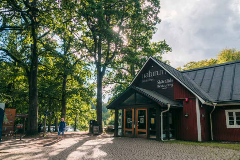 Hiking in Söderåsen National Park in Scania, Sweden - Northabroad