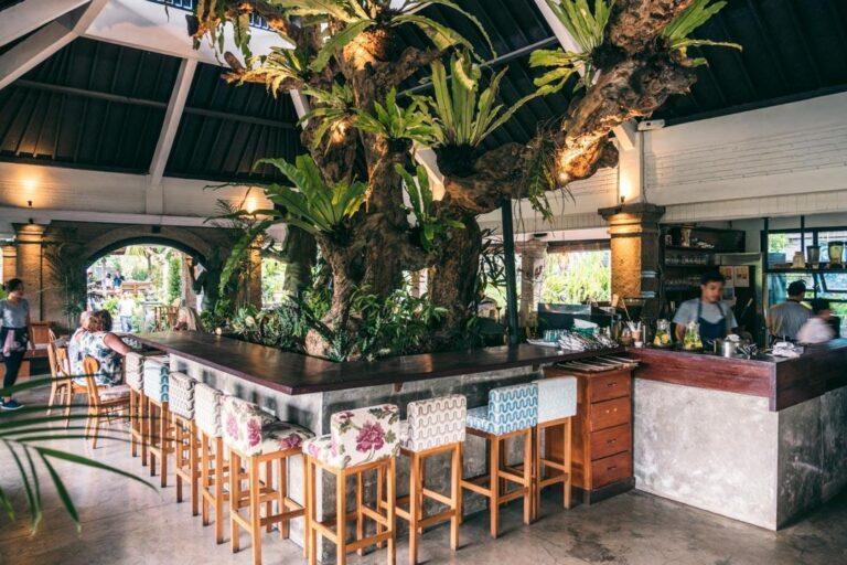 A Vegan Eating Guide to Ubud: The Best Restaurants & Cafés - Northabroad